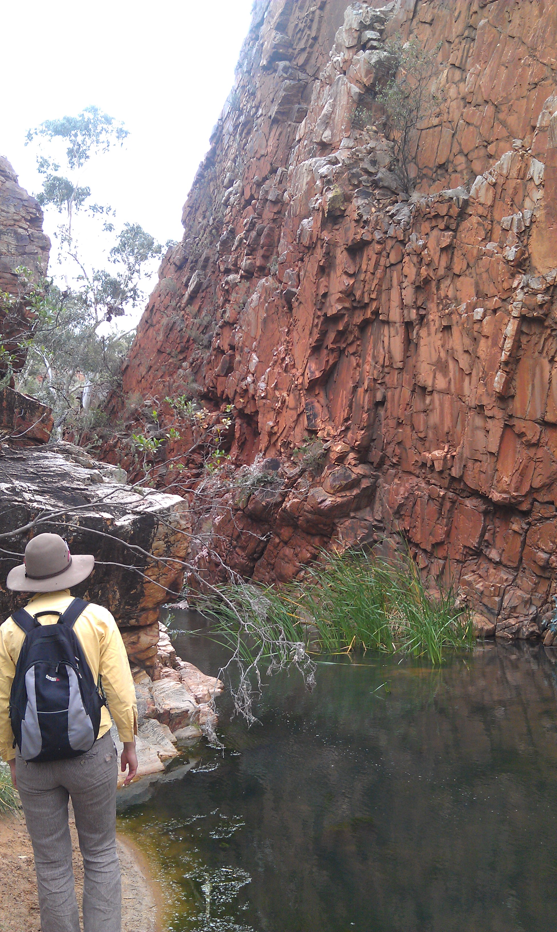 Bond Gap Bushwalk – The Graceful Cyclists